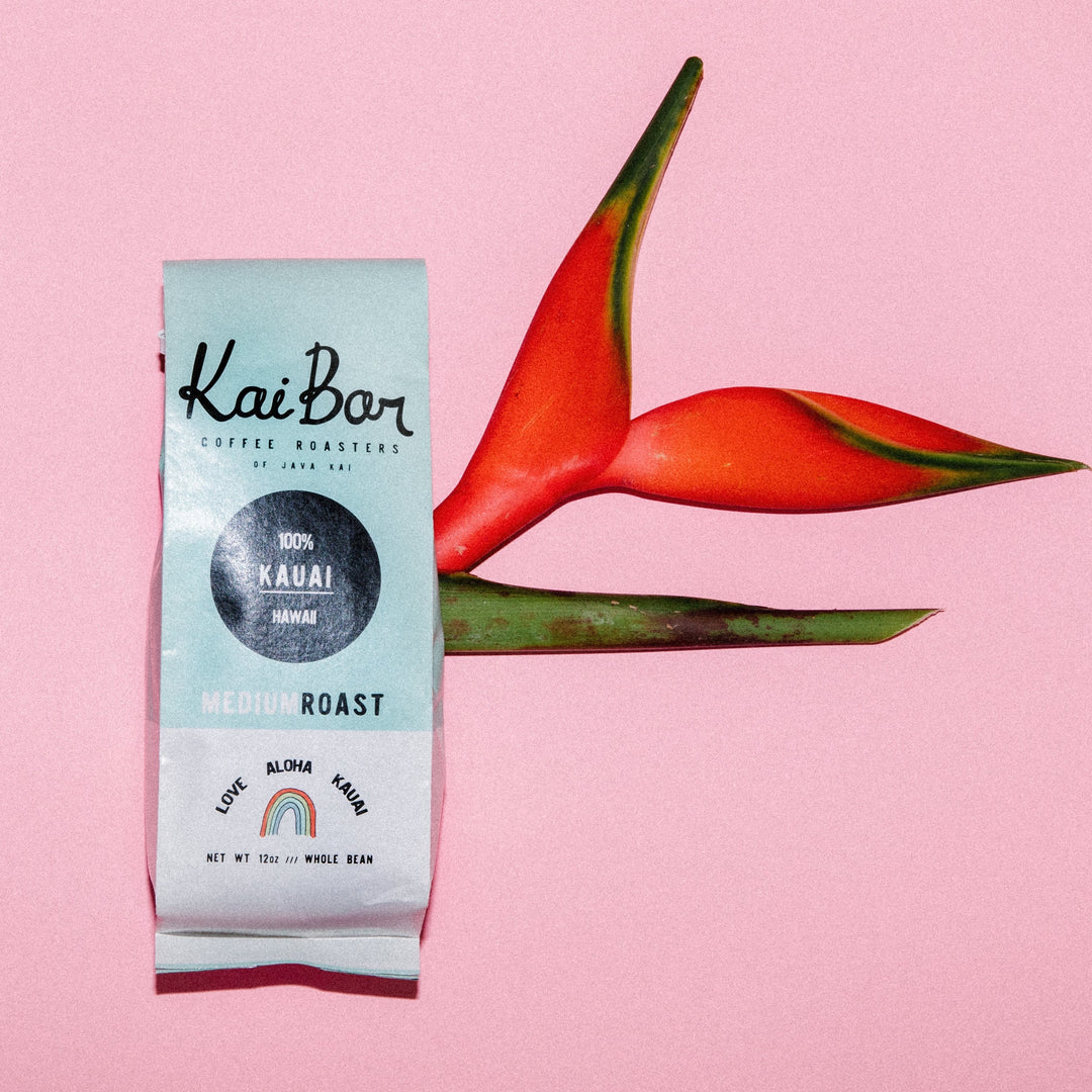 B E A N S – Java Kai